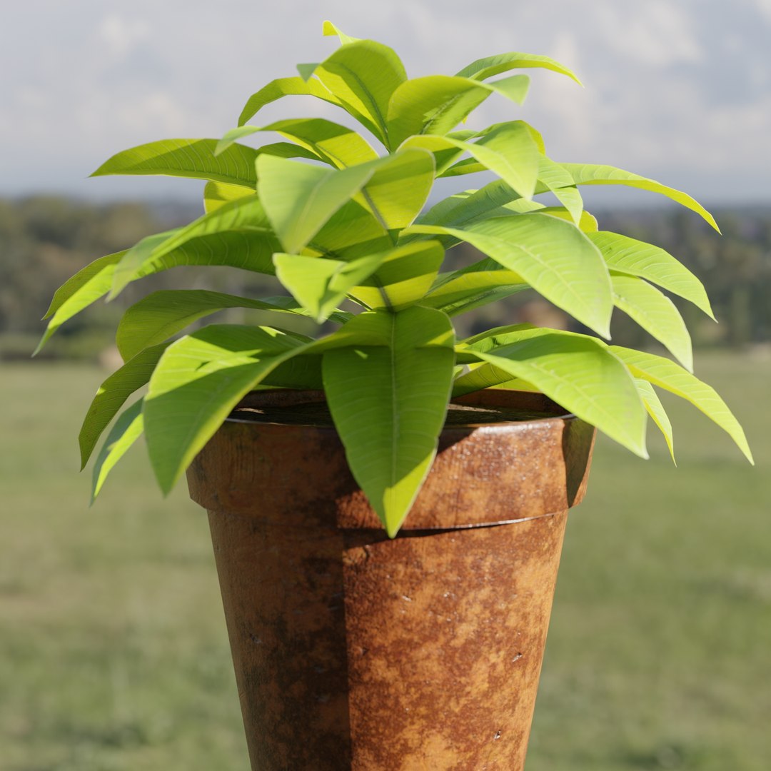 Lowpoly Pot Plants Collection Vol 228-Blender-3dmodel 3D - TurboSquid ...