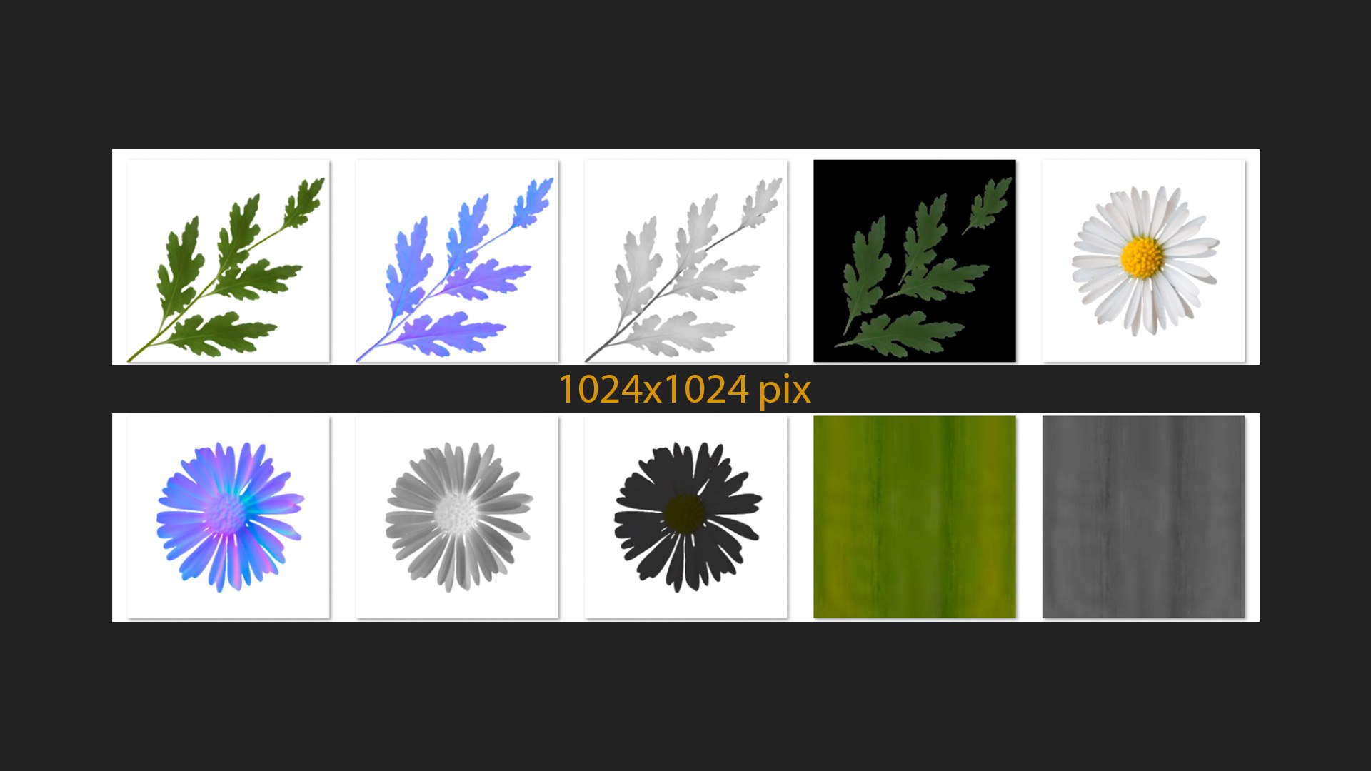 3D Camomile Field Grass Chamomile Garden Model - TurboSquid 2053977