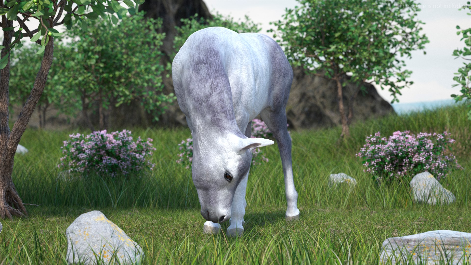 3D Shetland Pony White Rigged - TurboSquid 2240510