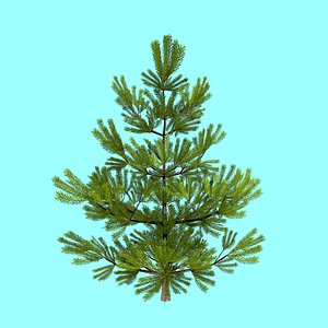 3D Pine Trees - High Quality Low-Poly Models -UE4-Unity-Vray-Corona ...