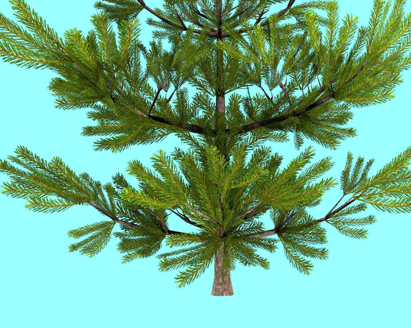 Pine-tree Low-poly 3D Model - TurboSquid 1879020