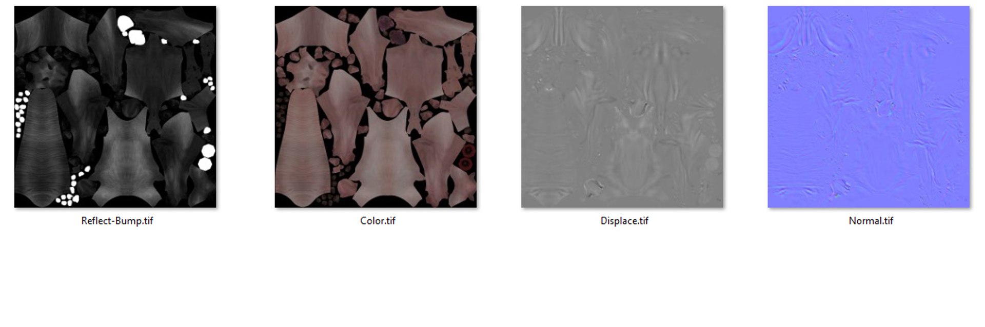 Animal Rat 3D Model - TurboSquid 1685597