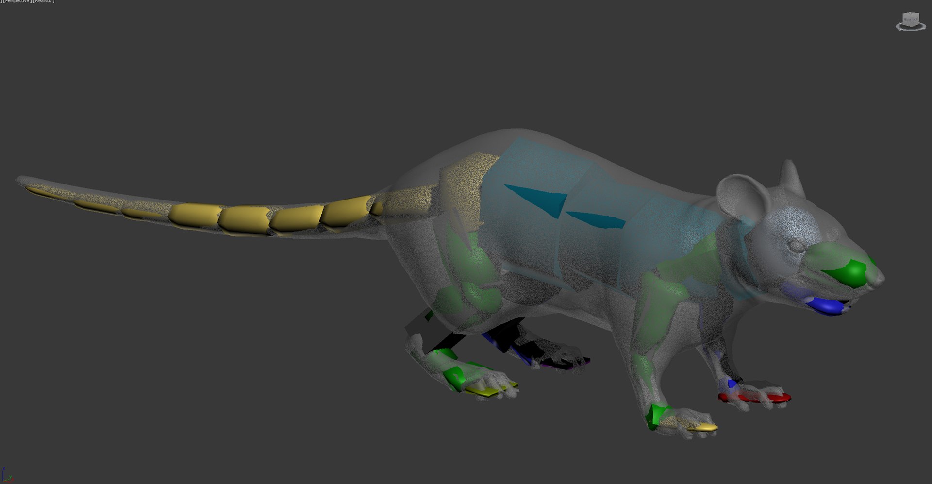 Animal Rat 3D Model - TurboSquid 1685597