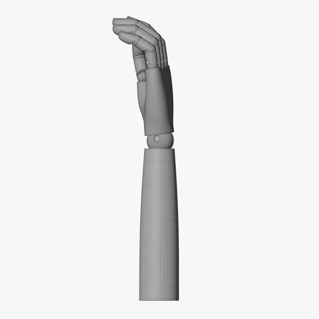 Rigged Wooden Arm Model - TurboSquid 2235824
