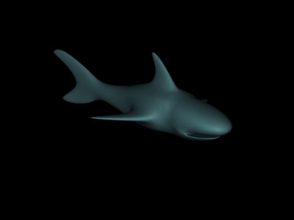 Free 3D Shark Models | TurboSquid