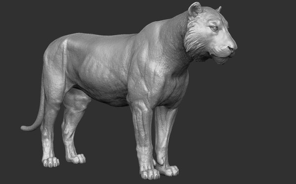 3D zbrush model - TurboSquid 1229000
