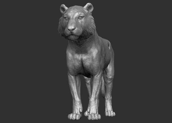 modelo 3d Tigre - TurboSquid 1229000