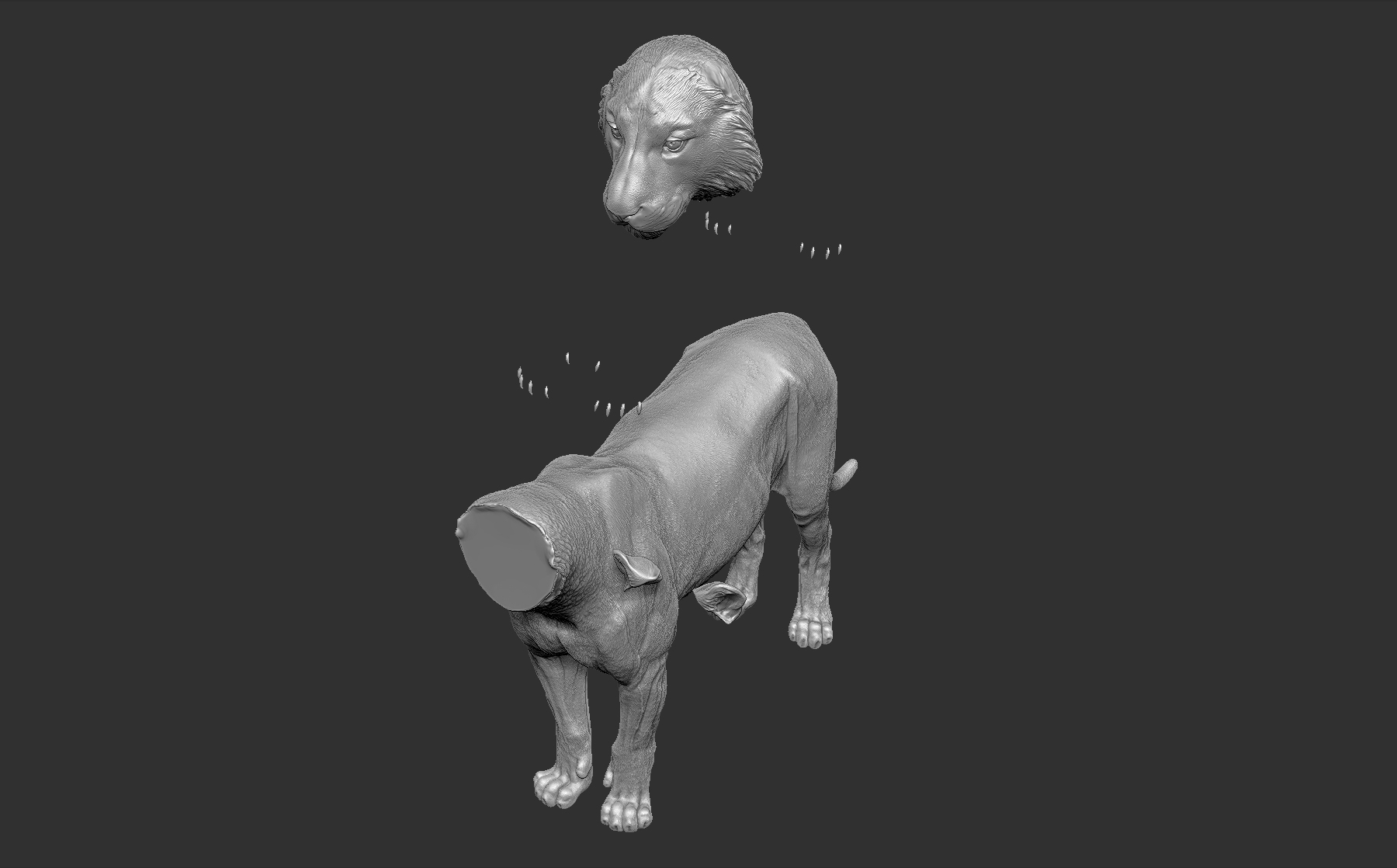 3D zbrush model - TurboSquid 1229000