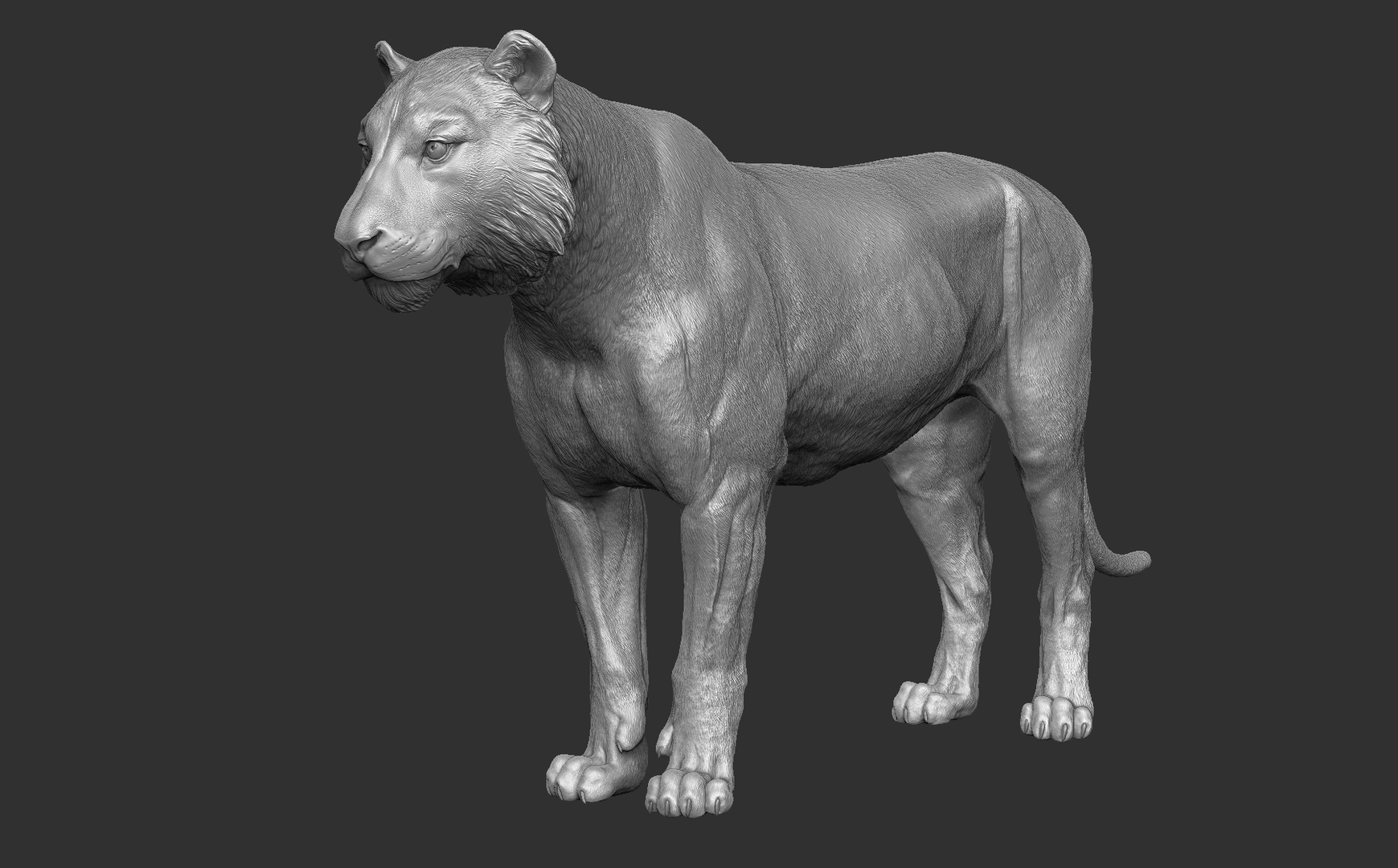 modelo 3d Tigre - TurboSquid 1229000