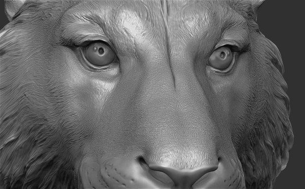 3D zbrush model - TurboSquid 1229000