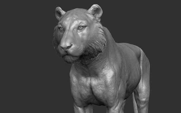 modelo 3d Tigre - TurboSquid 1229000