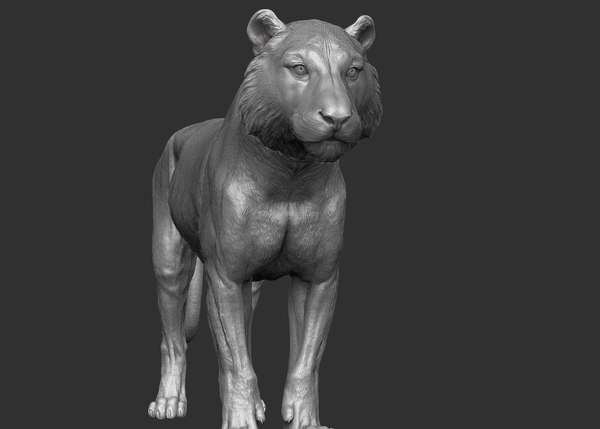 호랑이 3D 모델 - TurboSquid 1229000