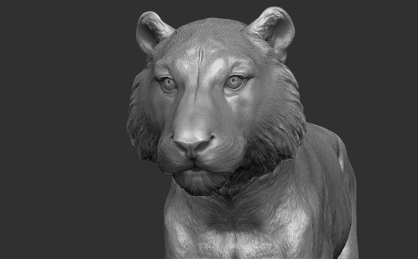 호랑이 3D 모델 - TurboSquid 1229000