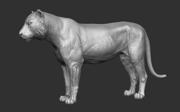 호랑이 3D 모델 - TurboSquid 1229000