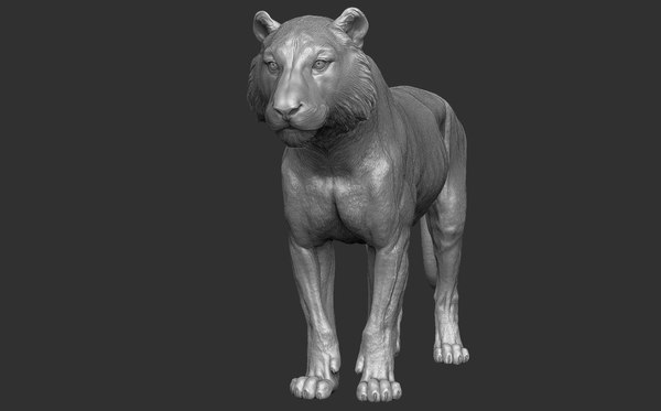 호랑이 3D 모델 - TurboSquid 1229000