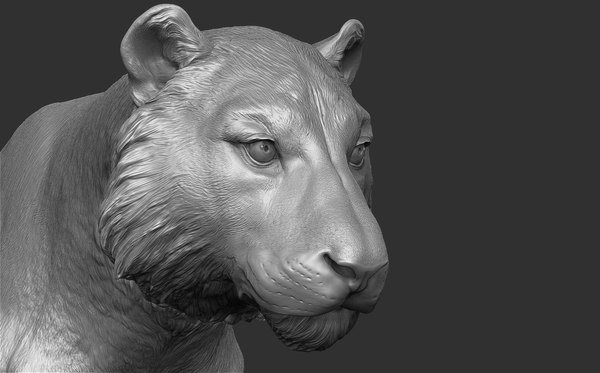 3D zbrush model - TurboSquid 1229000