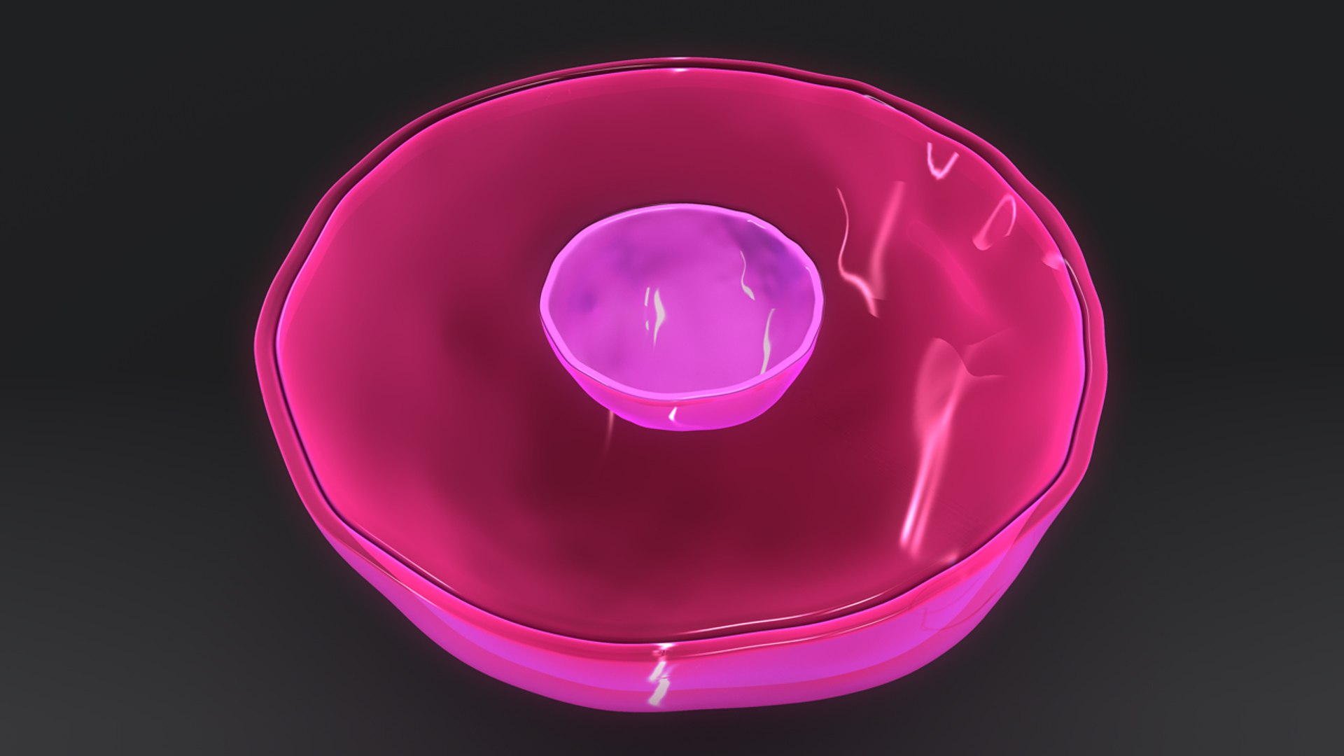 Anatomy T Cell 3d Model