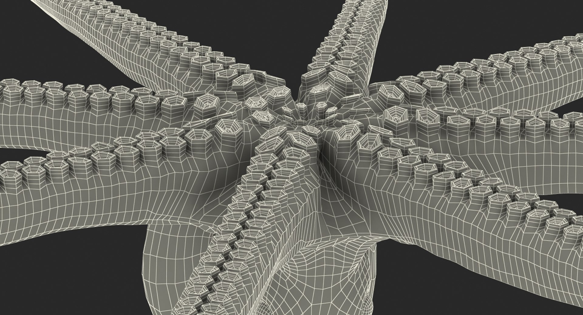 3d common octopus rigged