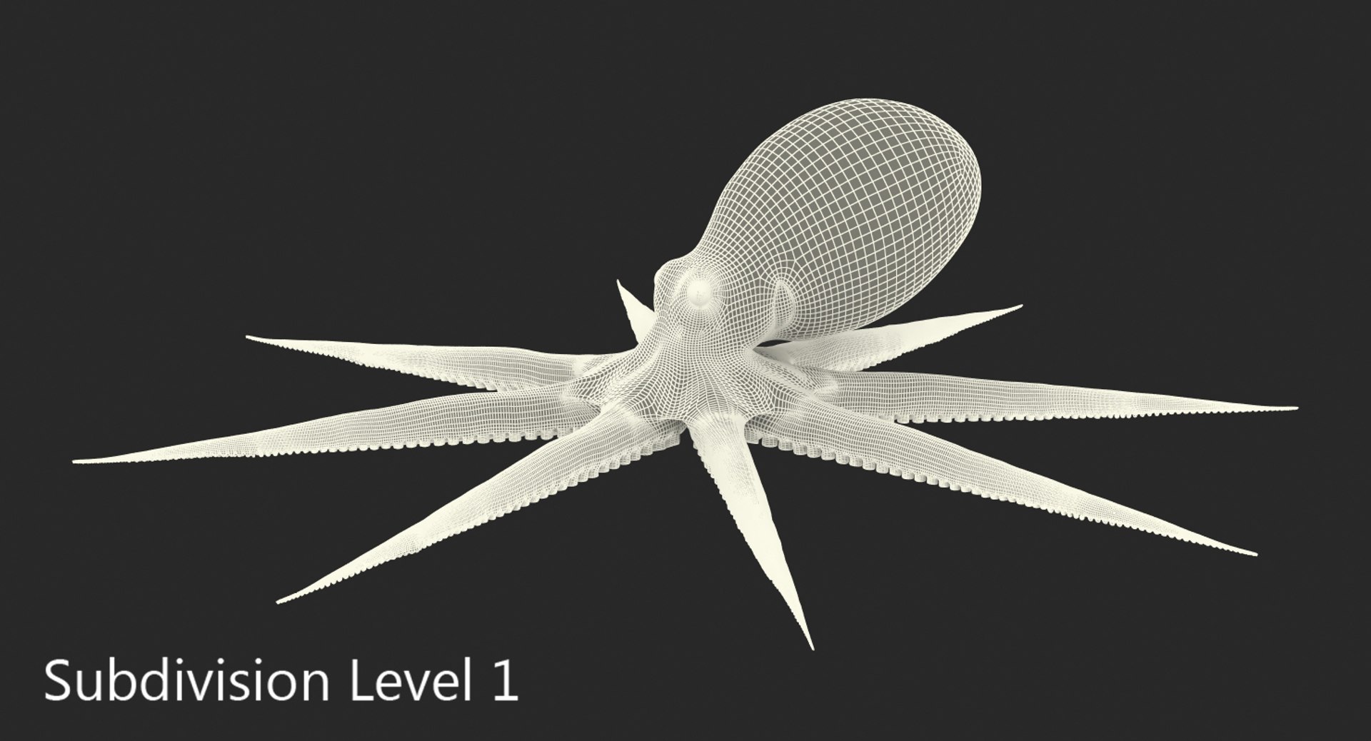 3d common octopus rigged