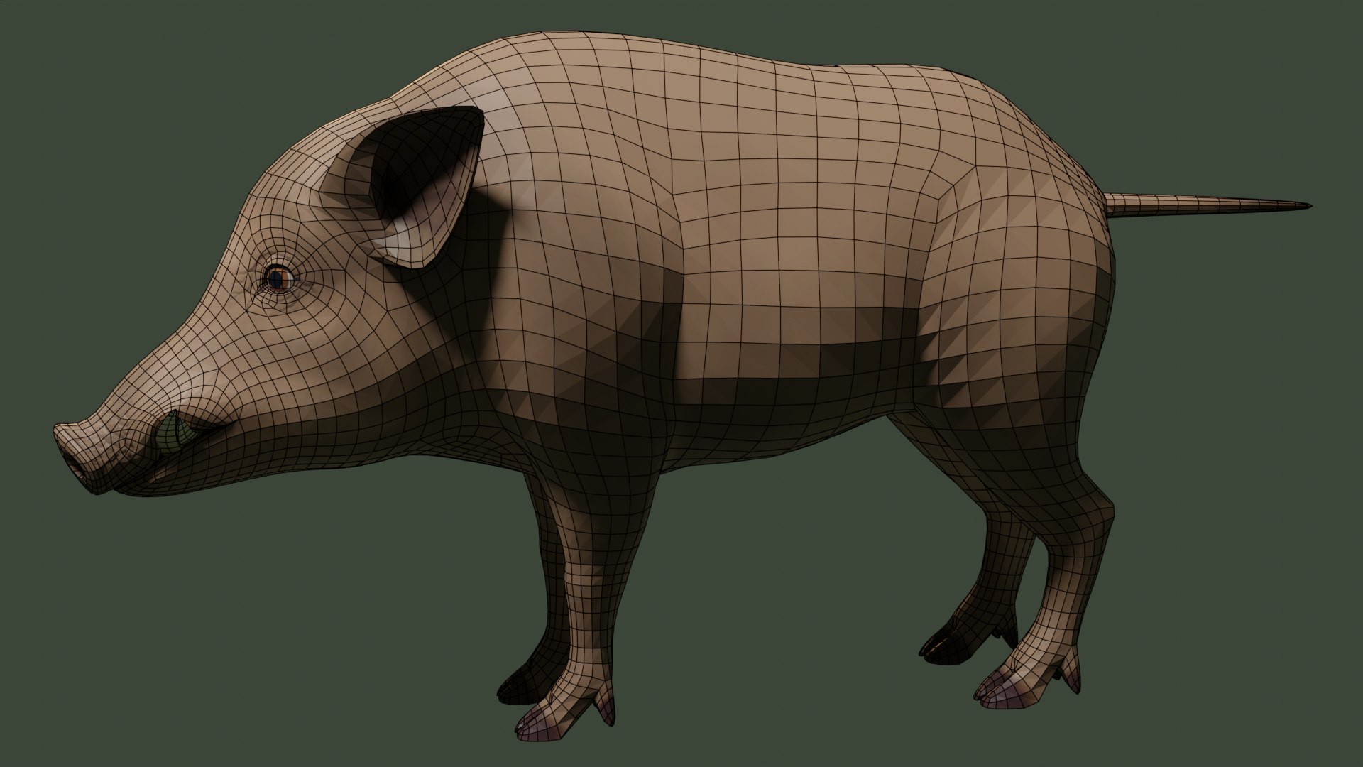 Boar 3D model - TurboSquid 2068322