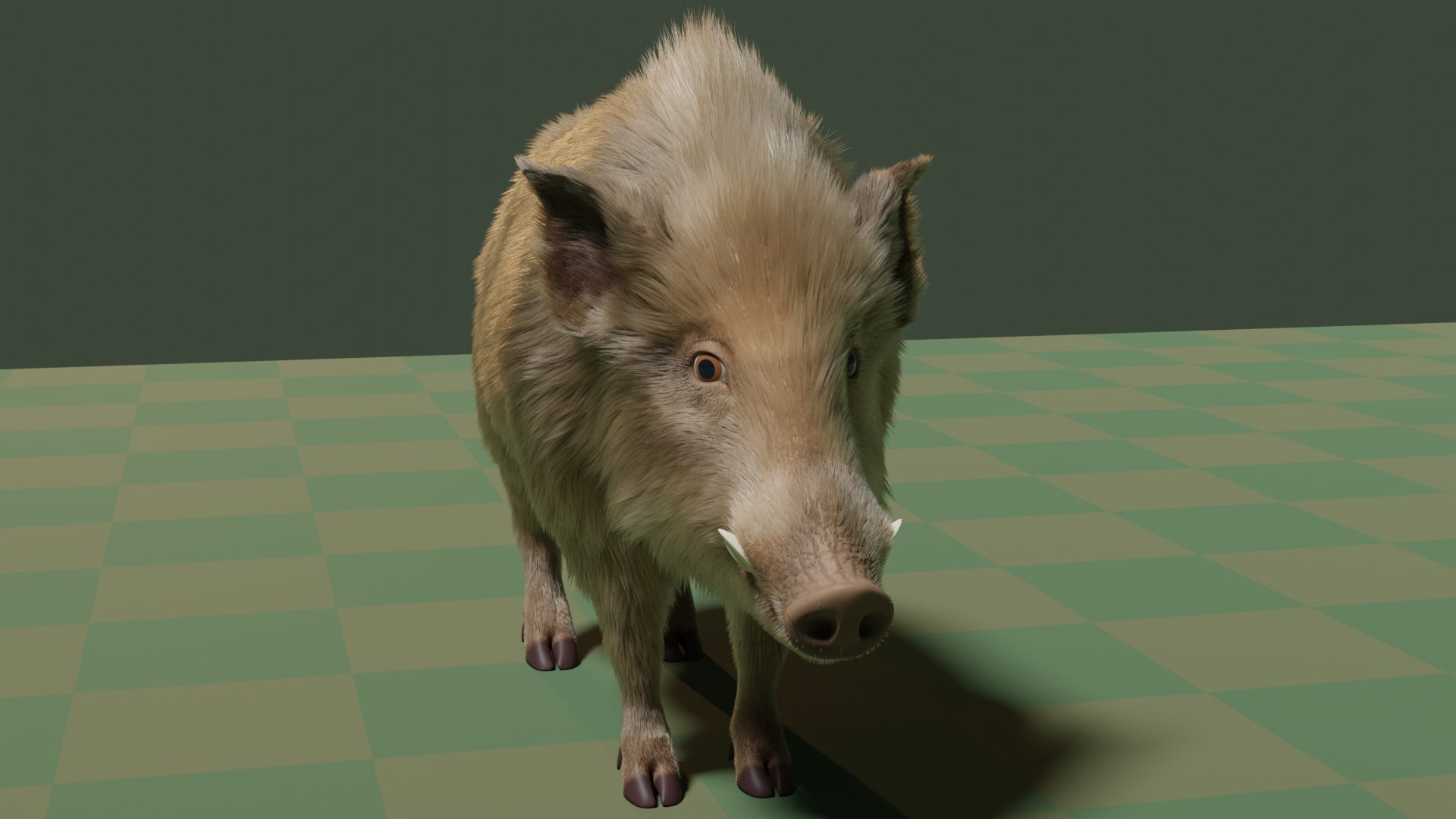 Boar 3D model - TurboSquid 2068322