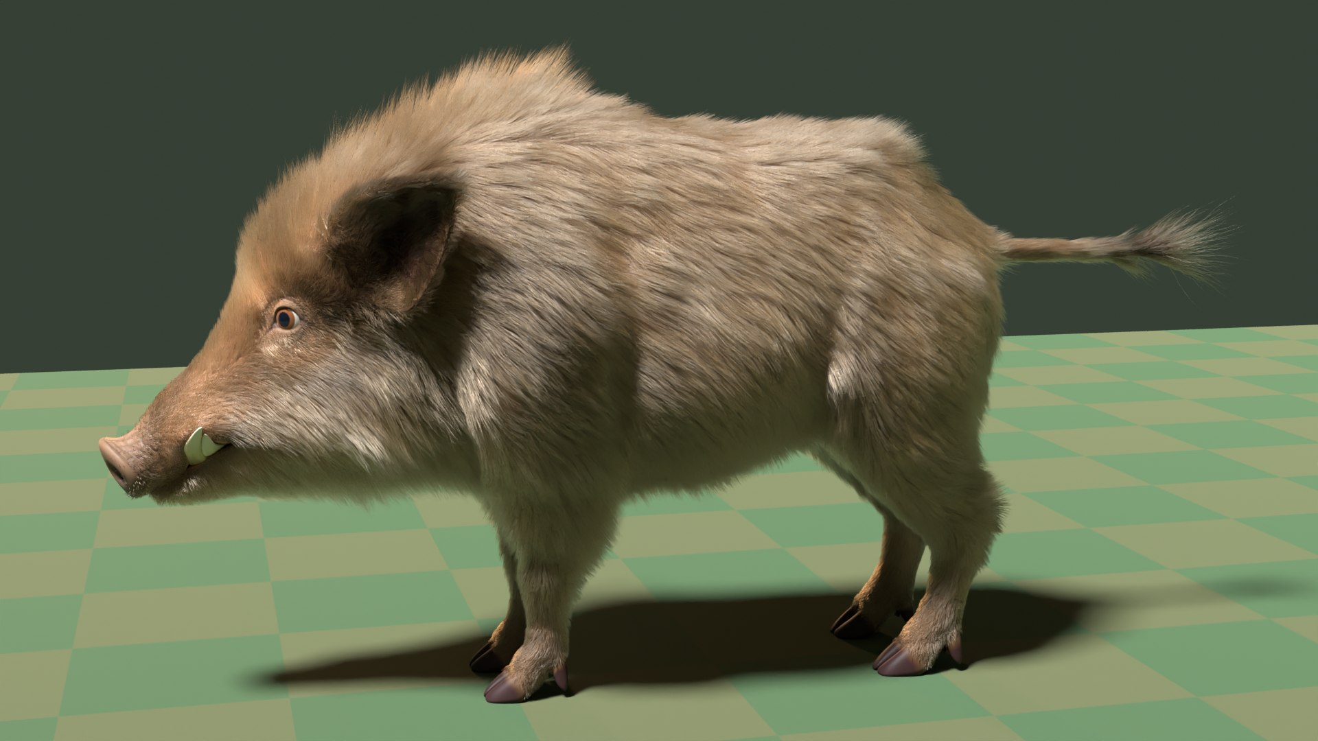 Boar 3D Model - TurboSquid 2068322