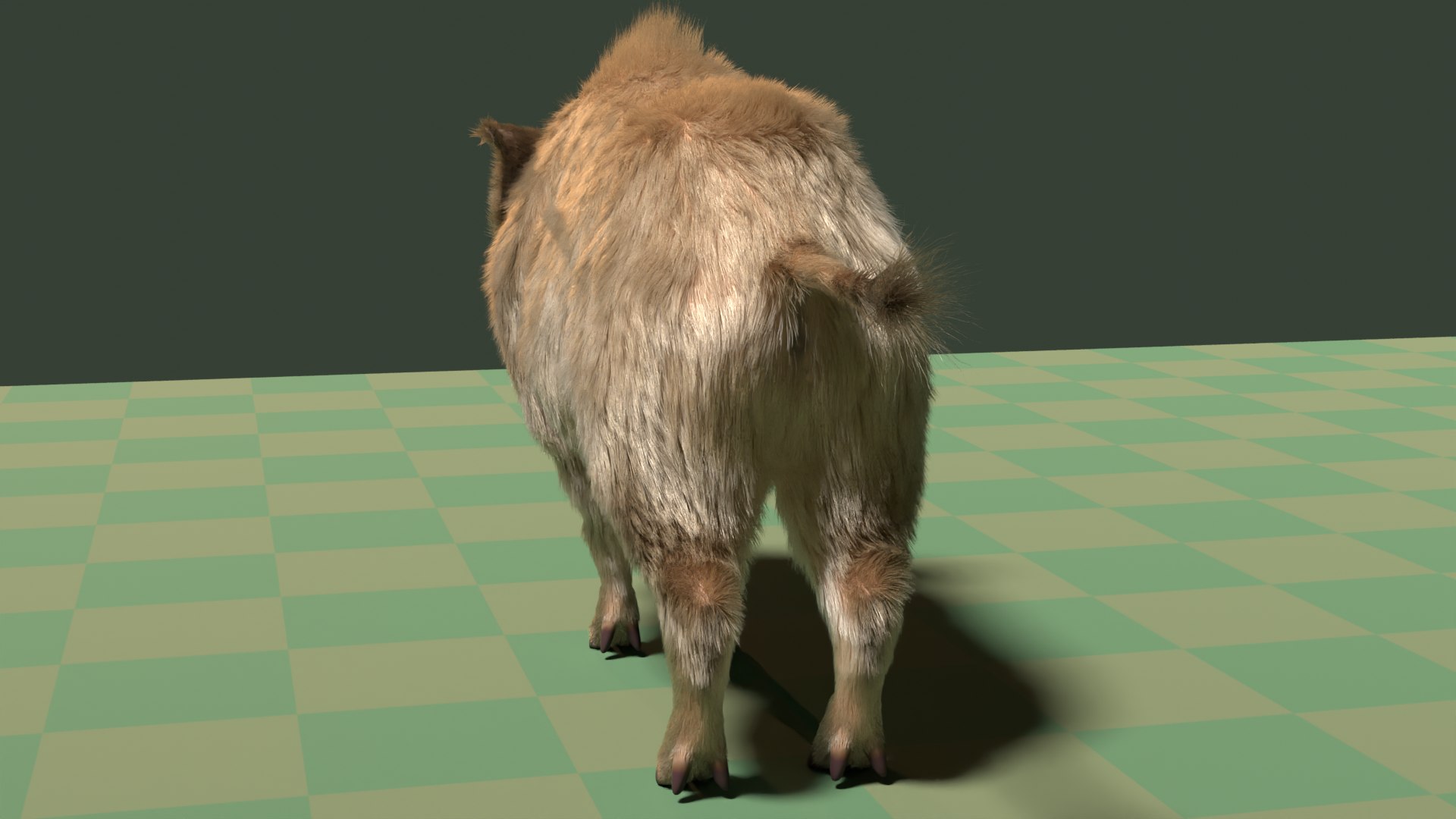 Boar 3D Model - TurboSquid 2068322