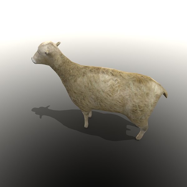 3d cat dog cow sheep