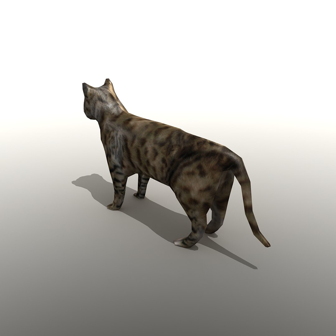 3d Cat Dog Cow Sheep