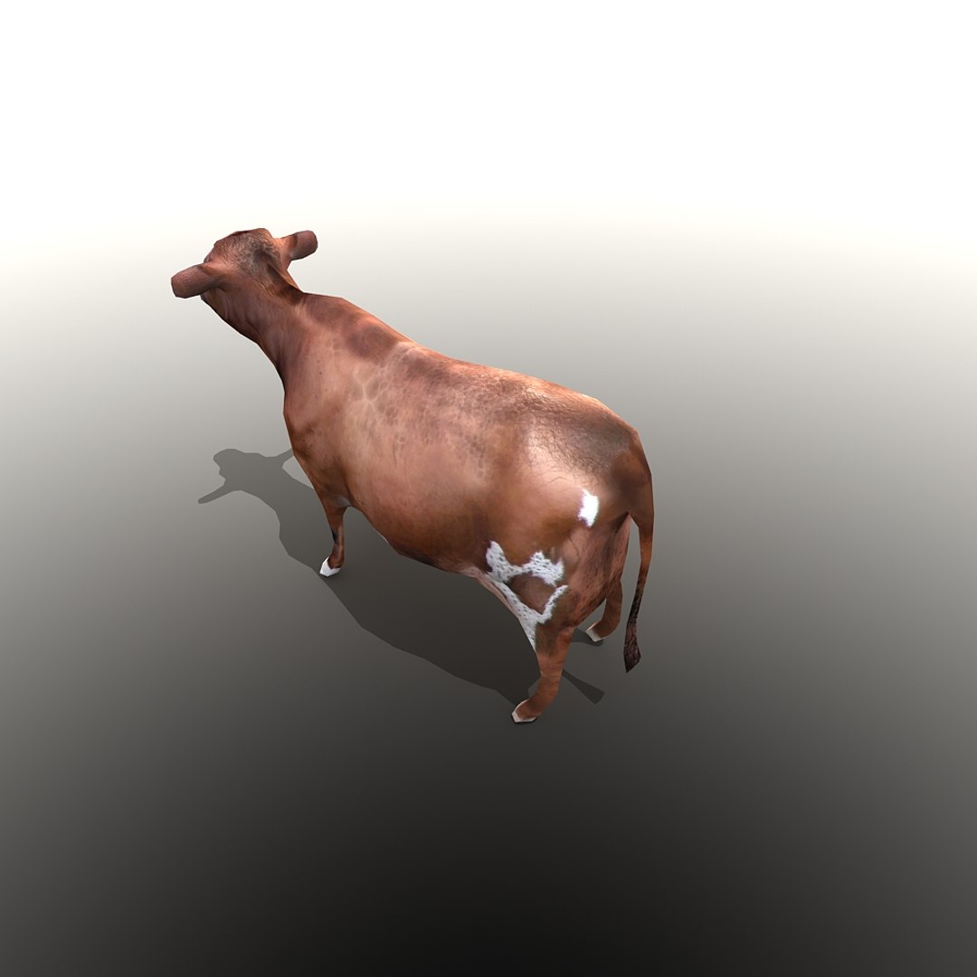 3d Cat Dog Cow Sheep