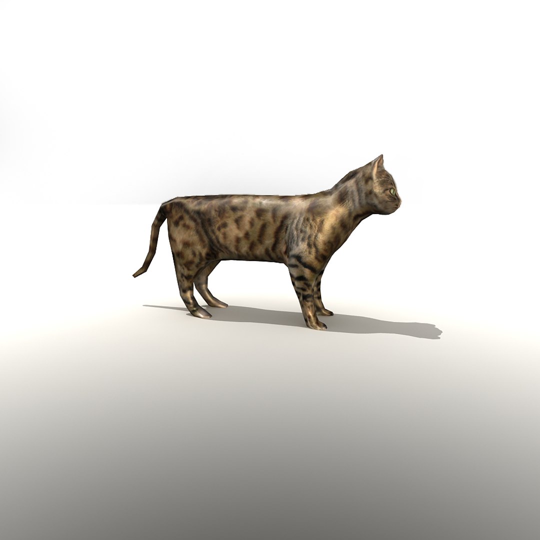 3d Cat Dog Cow Sheep
