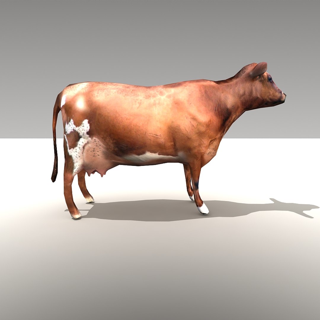 3d Cat Dog Cow Sheep