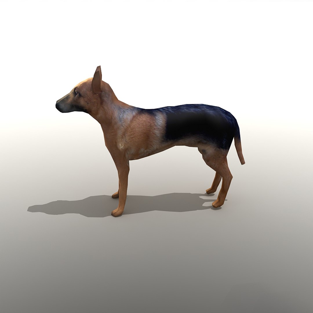 3d Cat Dog Cow Sheep