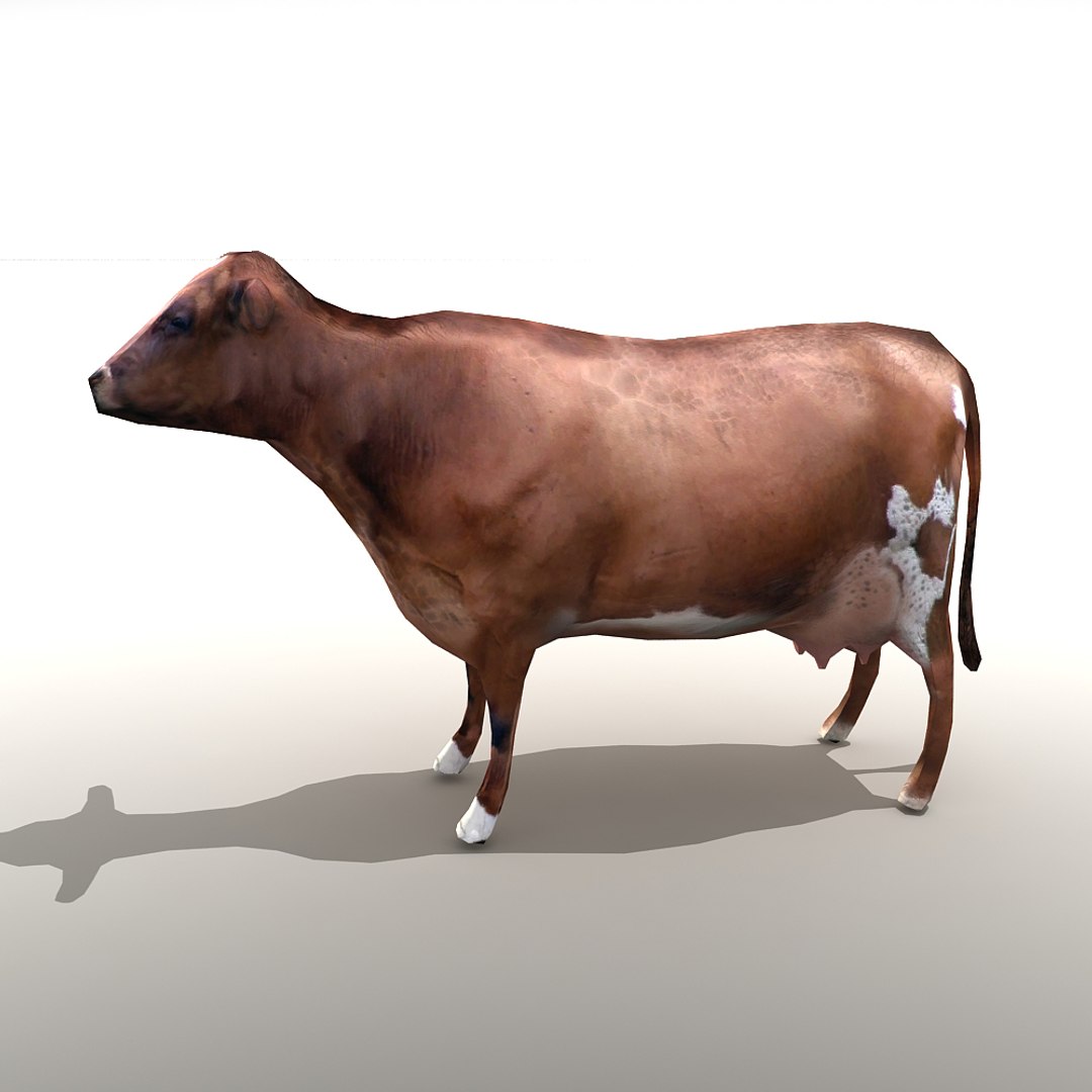 3d Cat Dog Cow Sheep