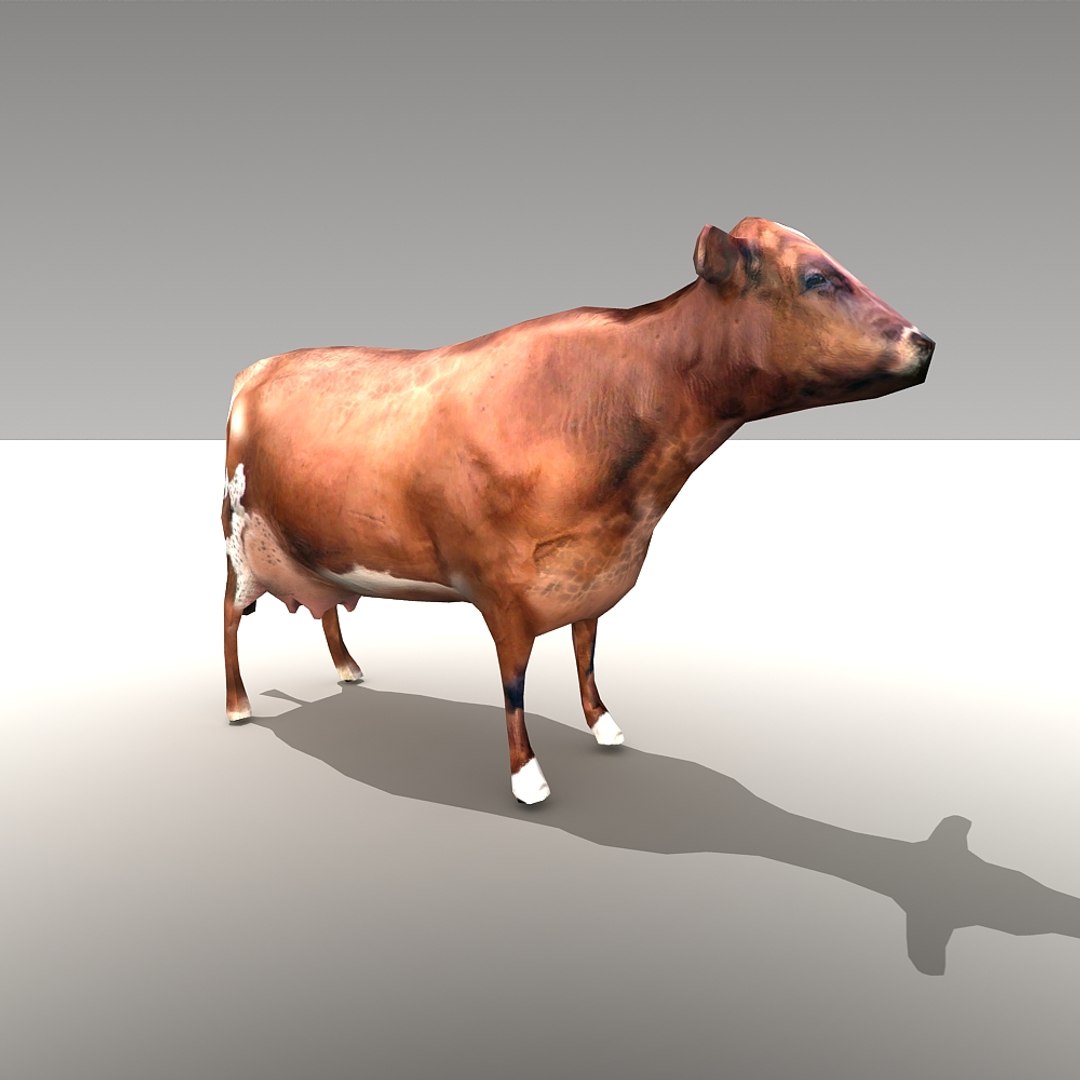 3d Cat Dog Cow Sheep