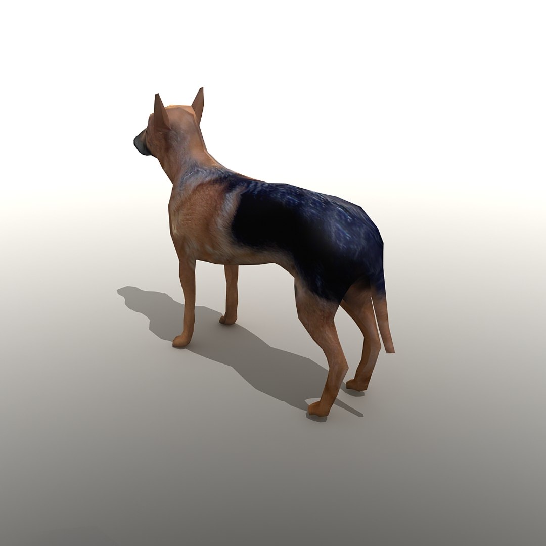 3d Cat Dog Cow Sheep