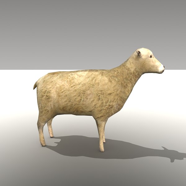 3d cat dog cow sheep