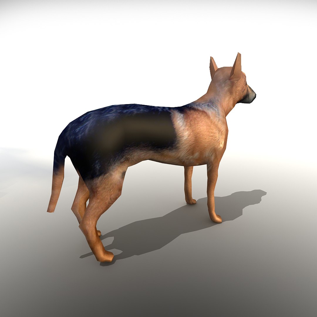 3d Cat Dog Cow Sheep