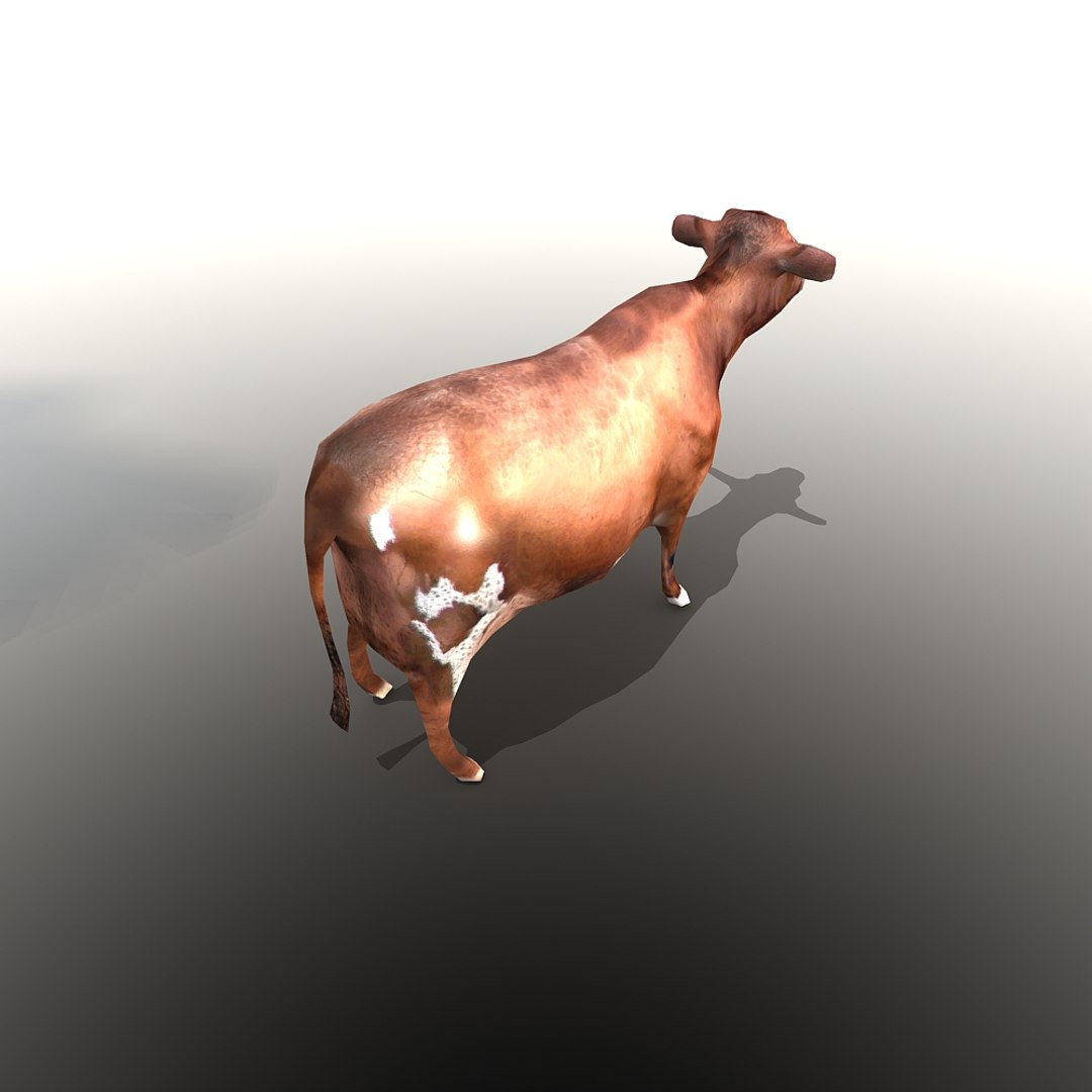 3d Cat Dog Cow Sheep