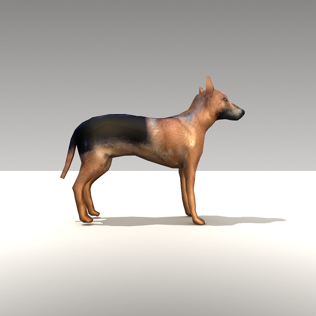 3d Cat Dog Cow Sheep