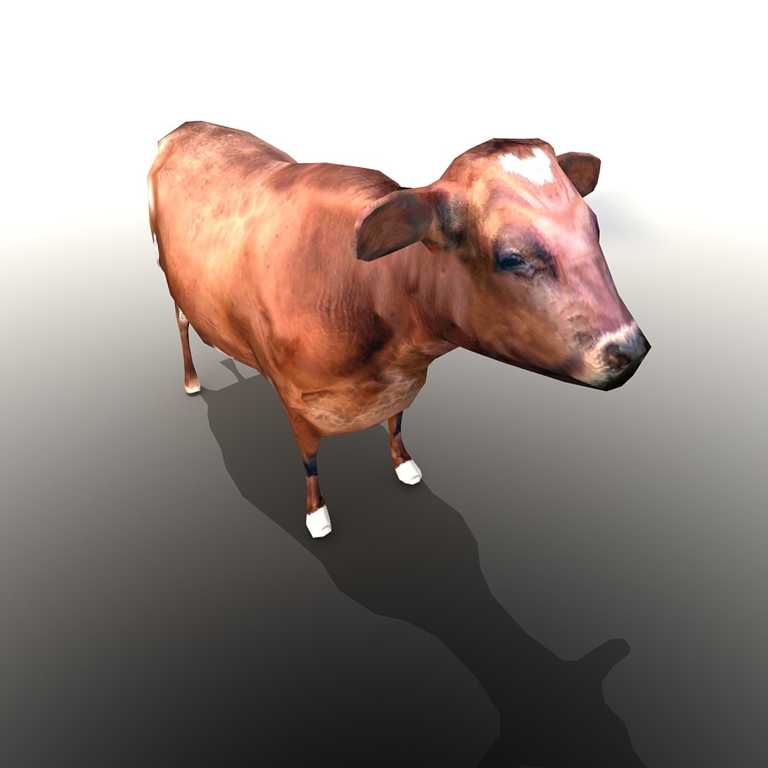 3d Cat Dog Cow Sheep