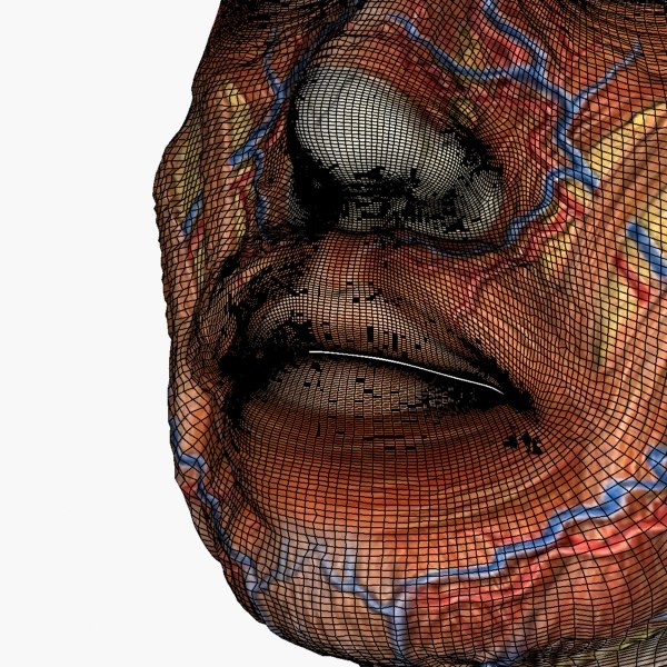 3d human head