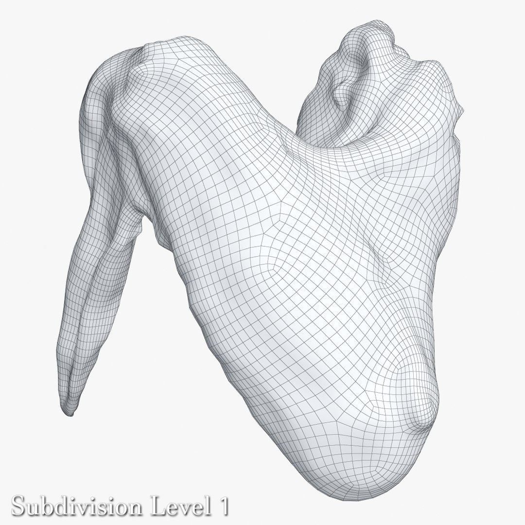 Crispy Chicken Wing 3d 3ds