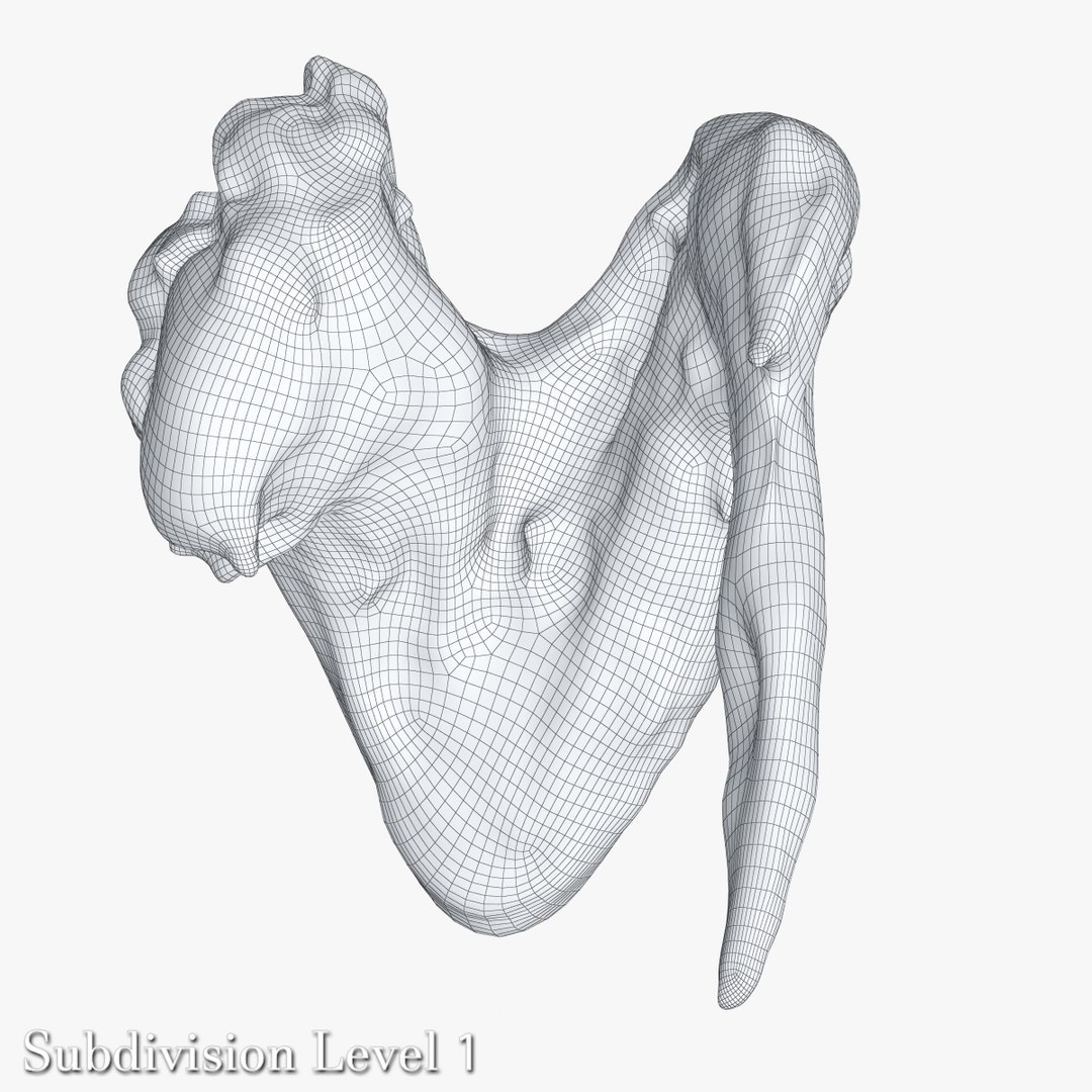 Crispy Chicken Wing 3d 3ds