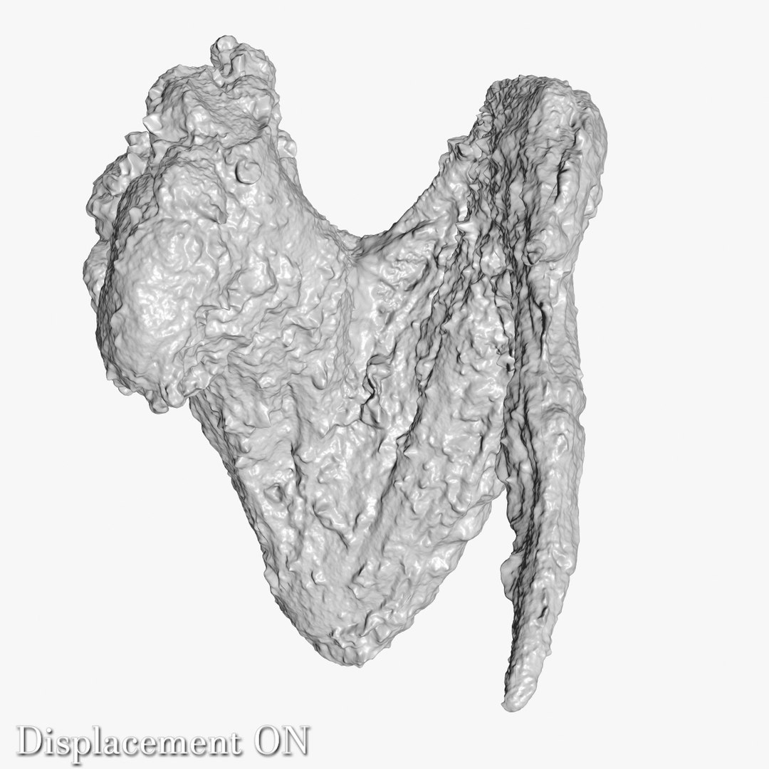 Crispy Chicken Wing 3d 3ds