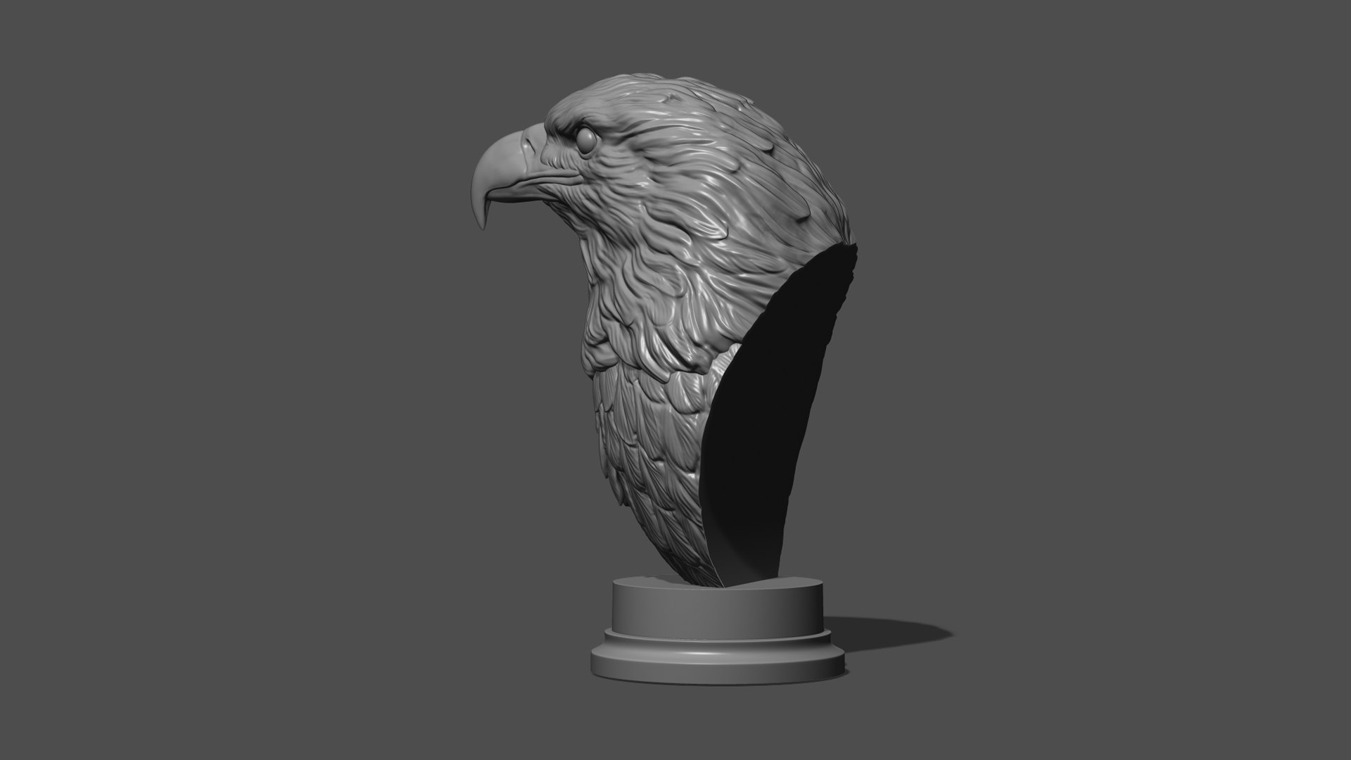 Eagle Head 3D Model - TurboSquid 2266122