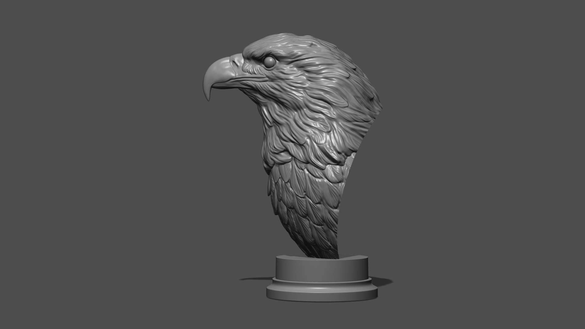 Eagle Head 3D Model - TurboSquid 2266122