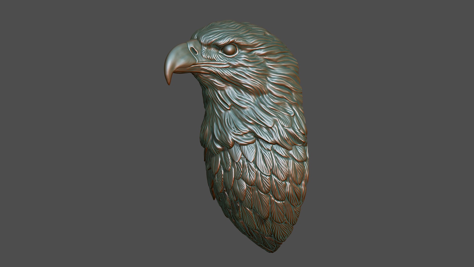Eagle Head 3D Model - TurboSquid 2266122