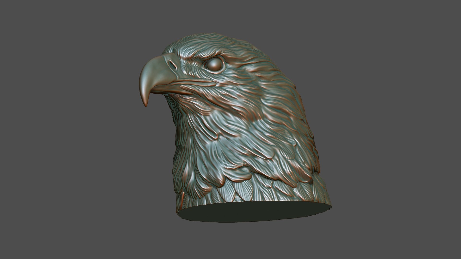 Eagle Head 3D Model - TurboSquid 2266122