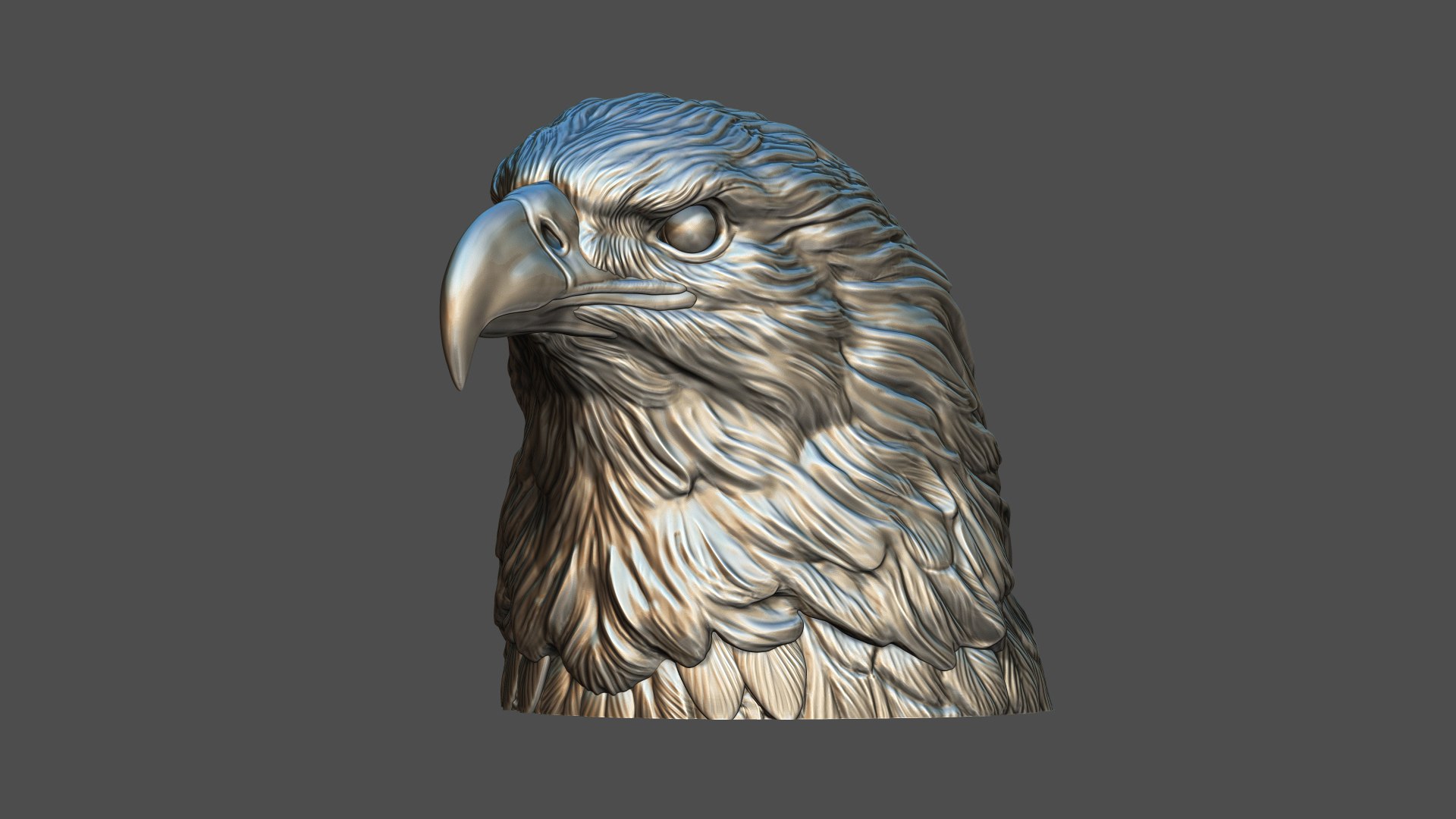 Eagle Head 3D Model - TurboSquid 2266122